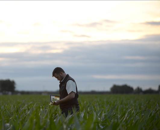 Crop Scouts Play Vital Role in Today’s Agriculture - Canadian Farm News
